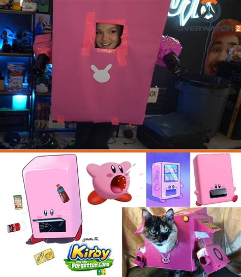 Diy Ashe And Dva Mech Cosplay By Malena R Nmpx