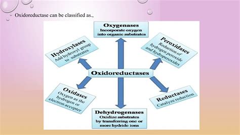 Redoxreaction Oxidation And Reduction Microbial Physiologypptx