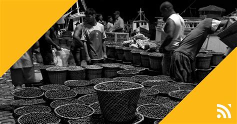 O Futuro Da Bioeconomia Revista Pesquisa Fapesp