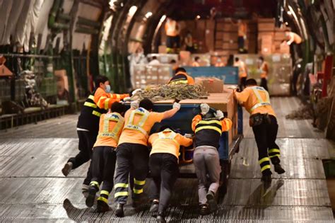 共筑抗疫“人类命运共同体”经济民生湖南红网新闻频道