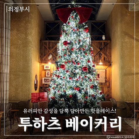 아이좋아 수원아이와 가볼만한곳 서울경기 4계절 걷기 좋은 산책로 정원 용인자작나무숲 이곳은 2017년부터