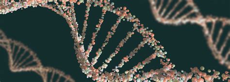 Critical Flaws In Illumina S DNA Sequencing Instruments Warned By CISA