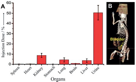 Figure 2 From Renal Clearable Luminescent Gold Nanoparticles From The