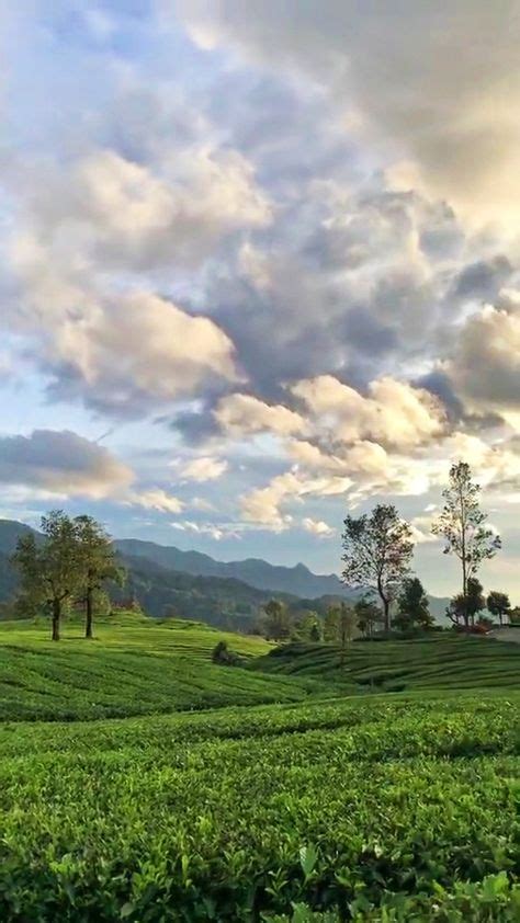 Foto Pemandangan Gunung