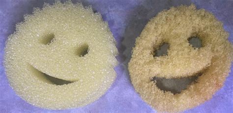 New And Old Scrub Daddy Rwellworn