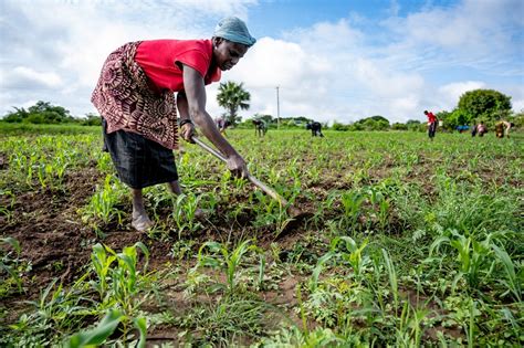 Grp Resilient Agriculture Innovations For Nature Rain Challenge 2025
