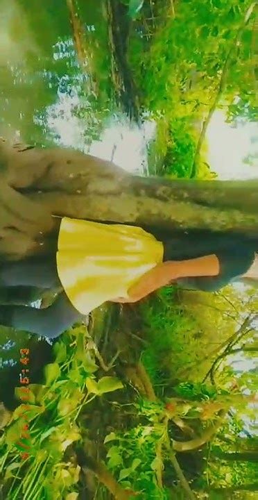 ජන ගායනය දුලනි ලක්ශිකා මෙහෙයවීම ප්‍රවීන නර්තන ආචාර්ය අනුර ශාන්ත වන්නිනායක මහතා Youtube