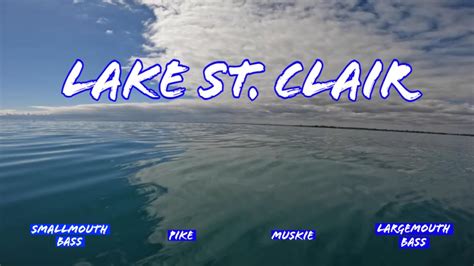 Fishing Lake St Clair Sm Bass Lm Bass Muskie And Pike Youtube