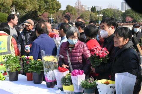 创建全国文明典范城市 宁波今年将新增绿地面积300公顷澎湃号·政务澎湃新闻 The Paper