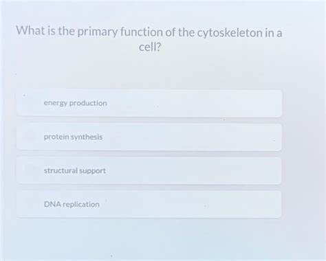 What Is The Primary Function Of The Cytoskeleton In A Cell Energy