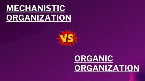 Mechanistic Vs Organic Organization Marketing
