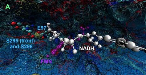 3iam Nadh Bound A Electron Surface Presentation Of The Nucleotide Download Scientific