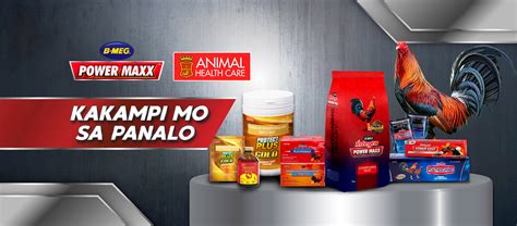 Team B Meg Powermaxx