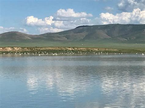 Монголбанк 300 сая төгрөгийн үнэ бүхий фитнесийн тоног төхөөрөмж авах