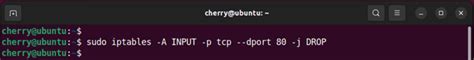 how to manage linux system routing rules with iptables cherry servers
