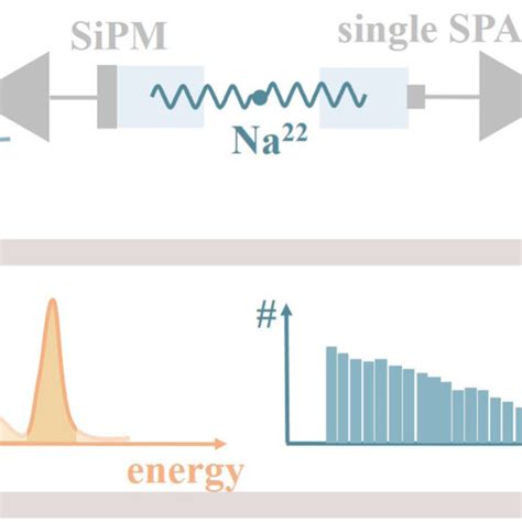 Schematic Drawing Of The Time Correlated Single Photon Counting Tcspc Download Scientific