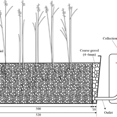 Schematic Layout Of Greenhouse Scale Horizontal Subsurface Flow