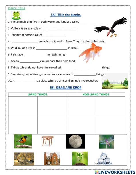 Science Worksheet For Class 6