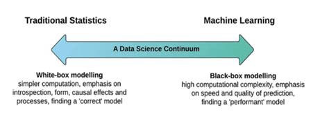 Unlocking The Secrets Of Black Box Models In Machine Learning