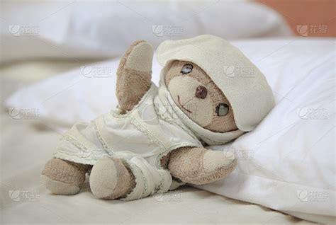 可爱的小泰迪熊