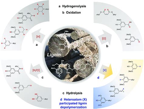 Scheme 1 Chemical Degradation Of Lignin Linkages By Activated H O And