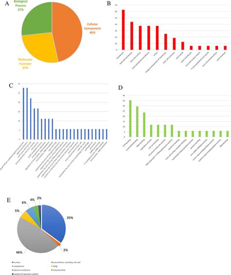 Functional Annotation Of Viral Proteins Potentially Prenylated By