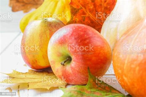 호박과 패티 팬 사과 단풍나무 오크 노란색 흰색 나무 테이블에 나뭇잎 가 추수입니다 0명에 대한 스톡 사진 및 기타 이미지