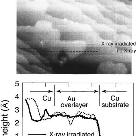Upper Panel Stm Image Of The Au Cu111 Surface During Scanning The Download Scientific