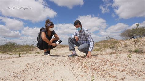Pesquisador Faz Alerta Sobre Processo De Desertificação No Brasil