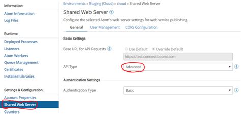 Question Cant Access Url Query Parameters Boomi Community