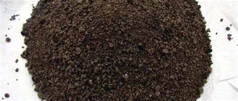 什么是有机肥？常见的有机肥料有哪些？植物原料动物