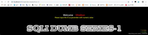 搭建sqli labs及遇到的问题 sqli labs xampp kb 野原新之助的博客 csdn博客