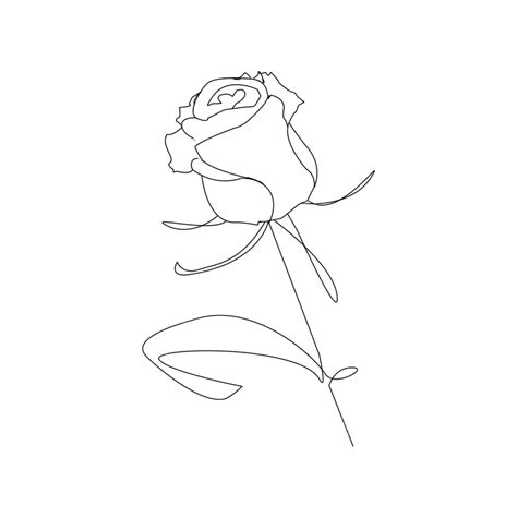 Roses Aesthetic Drawing