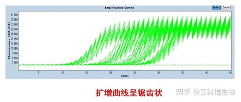 荧光定量pcr的7种异常曲线，你中招了吗？ 知乎