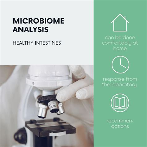 Microbiome Analysis Healthy Intestine Loodus Biospa