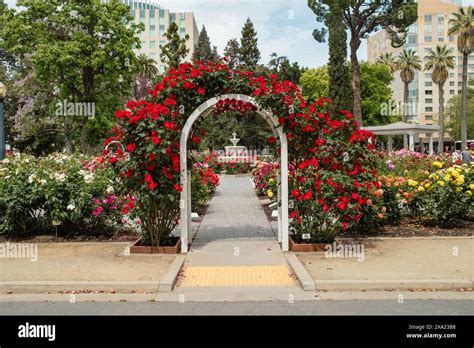 Capitol Rose Garden Sacramento Wedding