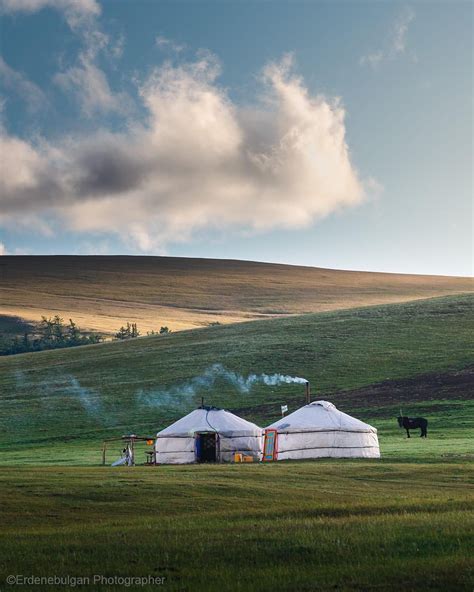 Нээрээн тэр олон хүүхдүүдийн хувь заяа яасан бэМэдэх төр засаг гэж байна уу Арай хүний наймаа