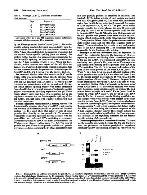 Binding Of The Drosophila Transformer And Transformer 2 Proteins To The