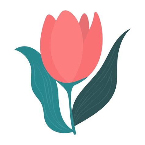 Premium Vector A Tulip With A Green Leaf On It
