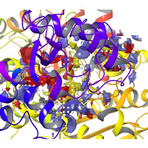 Protein Tertiary Structure Focusing On The Active Site Of The Target