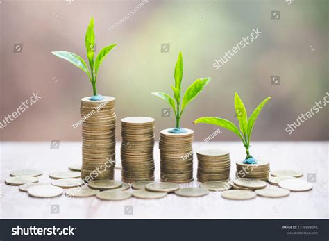 Step Coins Stacks Tree Growing On Top Money Saving Investment Concept Images Stock Photos