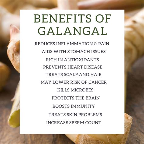 20 Science Backed Health Benefits Of Galangal Root How To Ripe