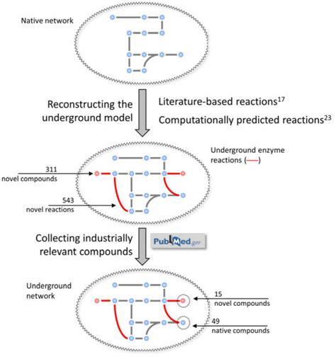 Reconstructing An Expanded Underground Metabolic Network Of E Coli Download Scientific