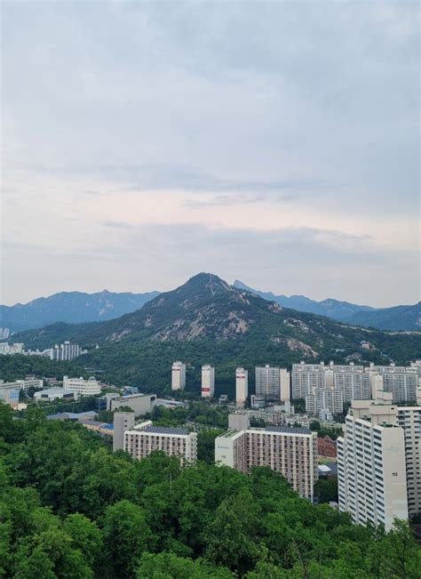 서울 서대문구 안산🌲메타세콰이어숲과 멋진 경치가 있는 곳 경기도 안산 아님😉 네이버 블로그