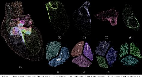 Figure 1 From Real Time And Realistic Simulation For Cardiac