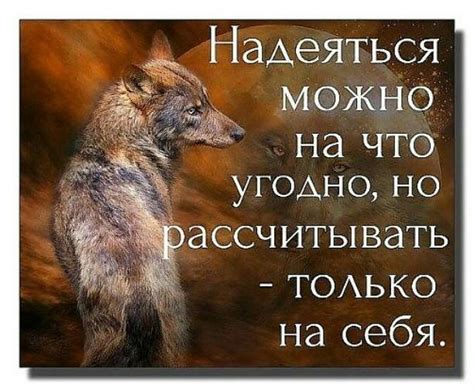 Pin Von Ольга Бушуева Auf Статусы про волков Zitate Sprüche