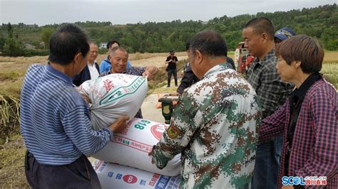 江油：油菜绿色高质高效创建项目通过省级考评验收四川在线