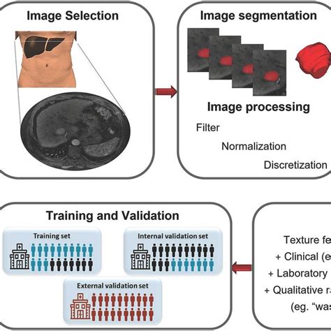 Illustrative Flowchart Demonstrating A Step By Step Approach For A