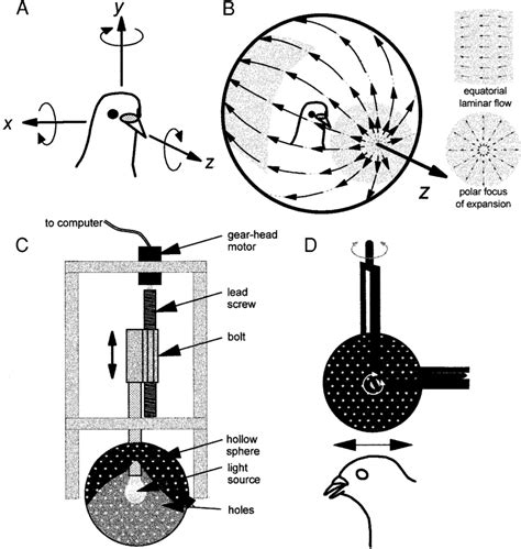a generic description for motion of an object in 3 dimensional space